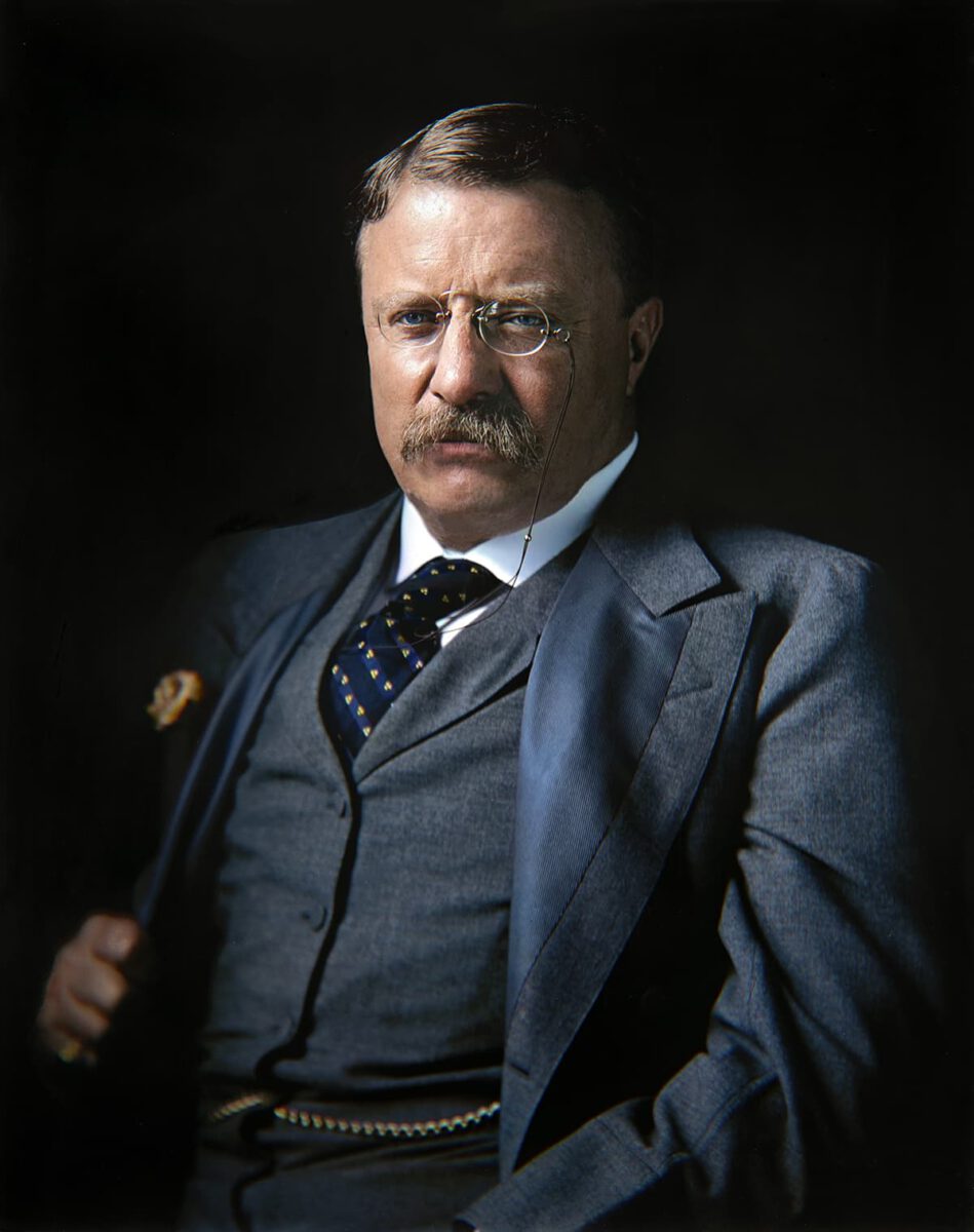 Theodore Roosevelt – Woodrow Wilson: The Light Withdrawn